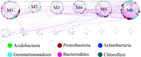 The Shared Bacterial Otus Categorized As The Connector And Module Hub