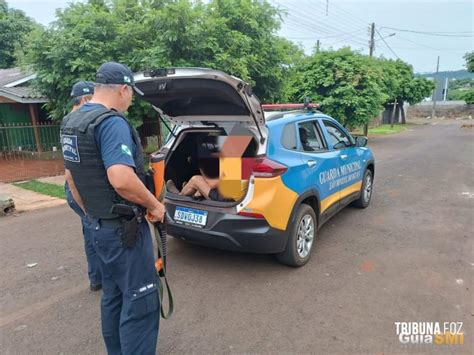 Em operação conjunta Guarda Municipal e Polícia Civil cumprem mandado