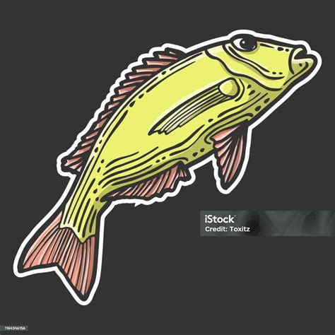 물고기 낙서 및 스케치 스타일의 벡터 개념입니다 티셔츠 엽서에 인쇄하기 위한 손으로 그린 일러스트레이션 T 셔츠에 대한 스톡 벡터 아트 및 기타 이미지 Istock