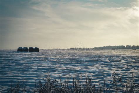 Winter Day Blue Sky With A Light Haze Snow And An Endless Field Stock