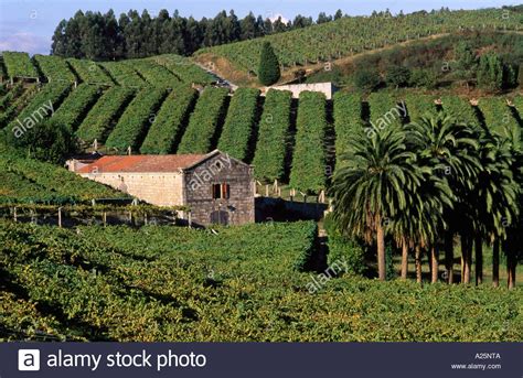 Cambados | Wine tour, Galicia, Pontevedra