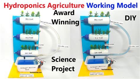 How Does Hydroponics Work