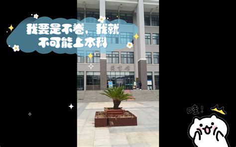 Bilibili