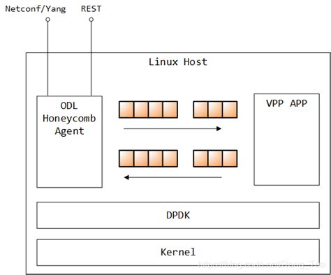 Vpp基本介绍 理解vpp软件架构dpdk中的vpp什么意思 Csdn博客