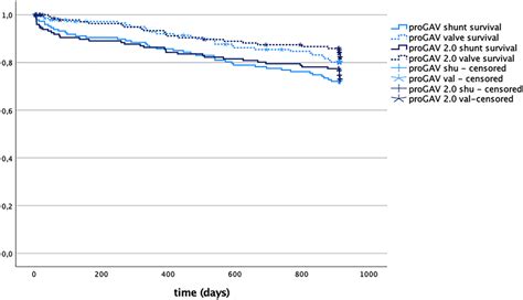 Kaplan Meier Curve Showing Shunt Revision Free Survival Progav 72 1 Download Scientific