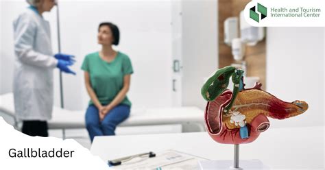 What Is The Function Of The Gallbladder Hti Centers Medical Tourism Center