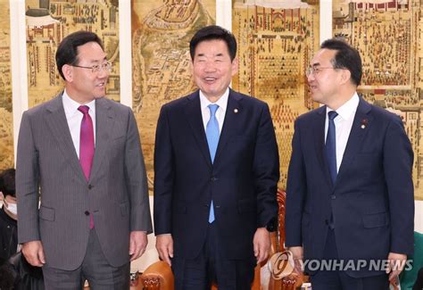 여야 선거제 개편 합의 처리한다전원위서 단일안 채택키로 나무뉴스