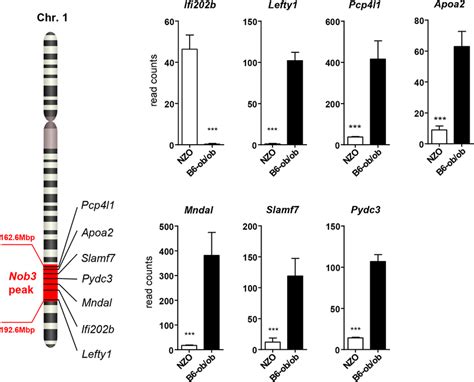 Differentially Expressed Islet Genes In B6 Ob Ob And NZO Located In A