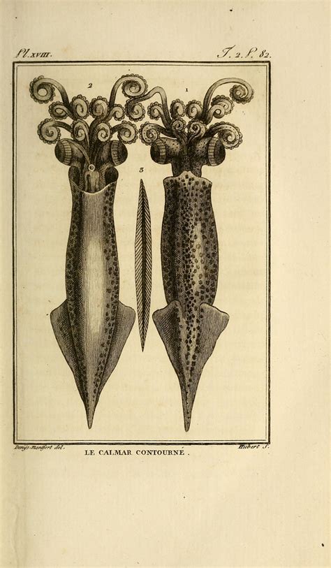 n w Histoire naturelle générale et particuliere d Flickr
