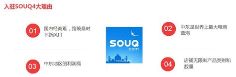 Souq平台的基本信息 知乎