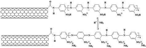 Carbon Nanotube Based Chemiresistive Sensors