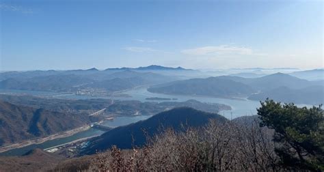 Daum 카페
