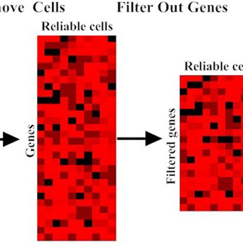 Single Cell Data Preprocessing Steps Overview Of The Workflow For The Download Scientific