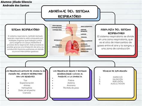 Mapa Conceptual Abordaje Del Sistema Respiratorio JILIADE SILENCIO