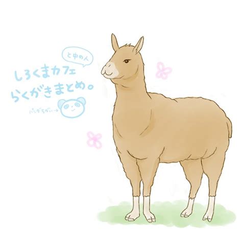 白熊之夜3 白熊之夜2 白熊之夜 第3页 大山谷图库