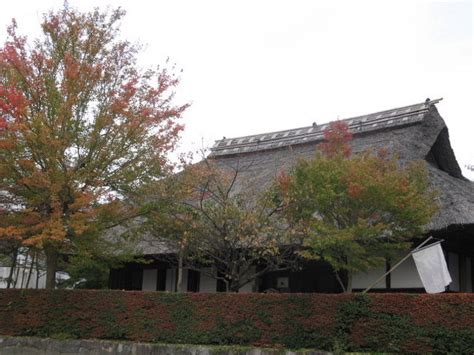 『信玄そば「あずまや」（丹沢湖畔）』丹沢・大山神奈川県の旅行記・ブログ By Fandsさん【フォートラベル】