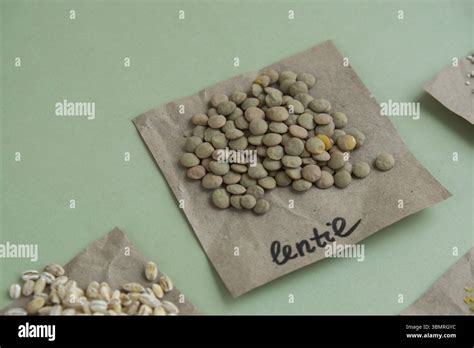 Refillable Raw Green Lentil Porridge With Text In Paper Examples