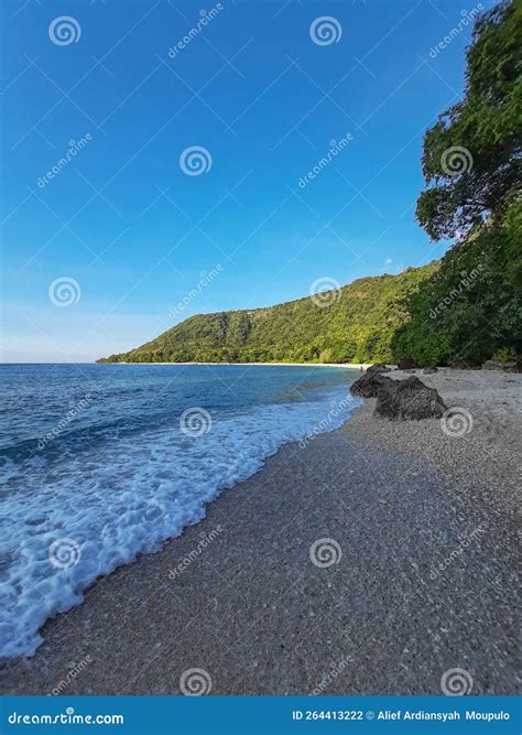 印尼的海蓝天夏 库存照片 图片 包括有 小珠靠岸的 横向 火箭筒 海运 结构树 峭壁 地形 264413222
