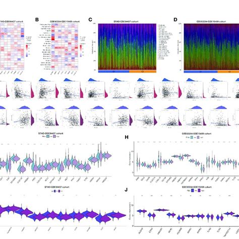 Evaluation Of The Different Immune Status Between The Low And High Risk Download Scientific