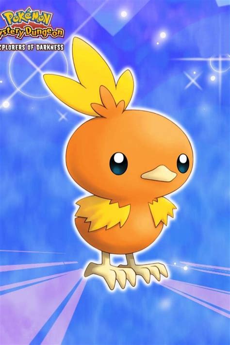 Torchic Wallpaper Pokemon Anime