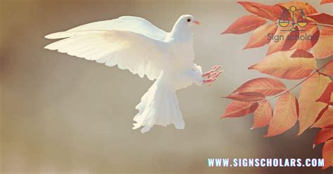 Dove Symbolism Meaning Ultimate Guide