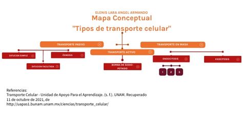 Tipos De Transporte Celular Genially