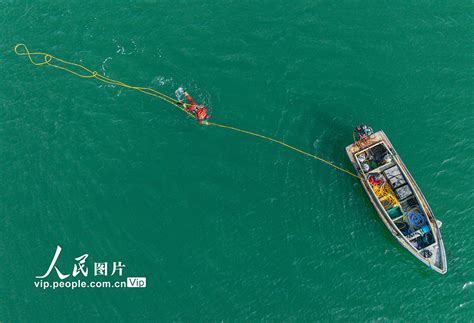 山东荣成：秋季海参开始收获【3】 图片频道 人民网