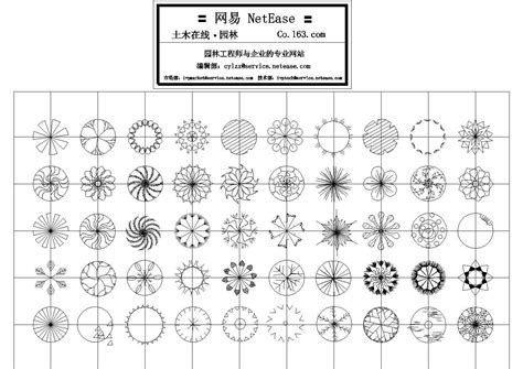 Cad
