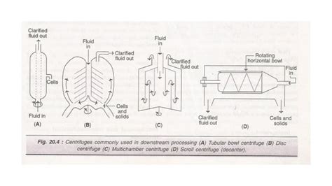 Downstream Processing Recovery Of Microbial Cells Ppt