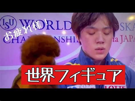 自由人（メインは樹💦時々昌磨） On Twitter 【世界選手権お疲れ様‼️】uno1ワンチャンネル 宇野昌磨 宇野樹 いぬとの