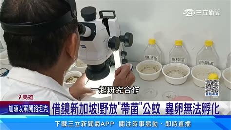 高雄登革熱病例全國第二 議員提議「以蚊剋蚊」│94看新聞 Youtube