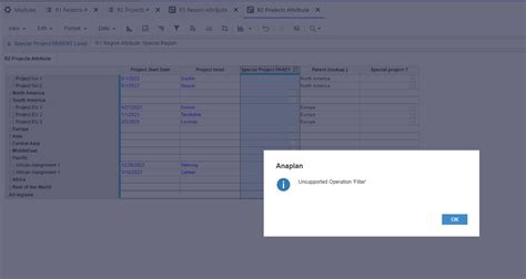Synchronized Selection Issue Anaplan Community