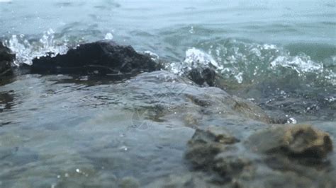 海浪冲击沙滩动图图片 正版素材401114904 摄图网
