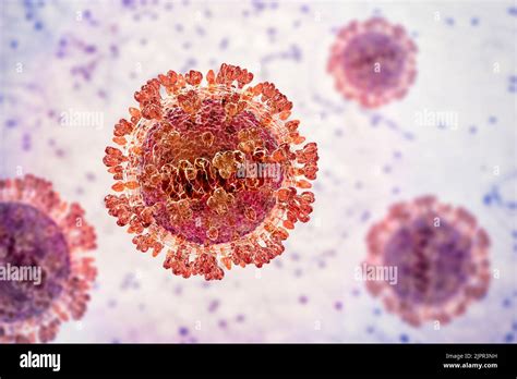 Langya virus Fotos und Bildmaterial in hoher Auflösung Alamy