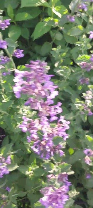 와우 이뻐요 💕이뻐요 😍 Youtube