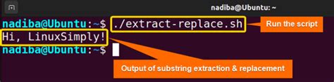 String Variables In Bash Manipulation Interpolation And Testing