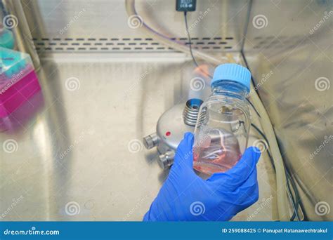 Kill The Pathogen Or Bacteria And Prevent The Contramination In The Cell Culture Media In The