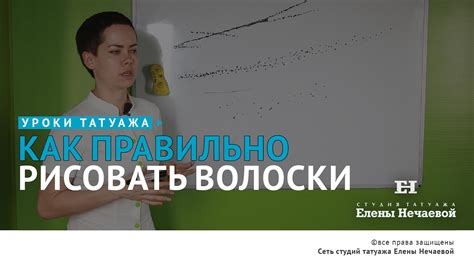 Как правильно рисовать волоски Теория татуаж татуажбровей Youtube