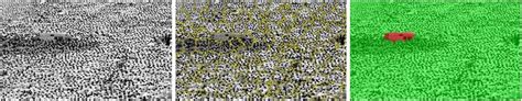 Grcs Left Dense Crowd Scene Image Middle Image Segmented Into