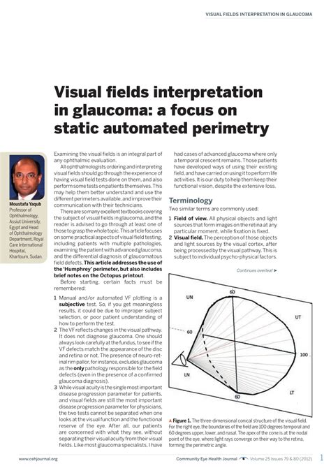 PDF Visual Fields Interpretation In Glaucoma A Focus On Static