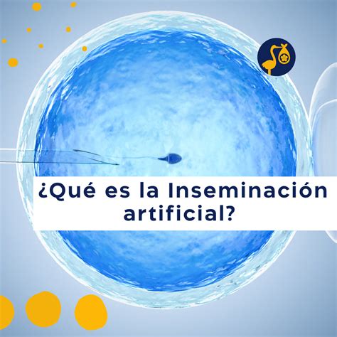 Inseminacion Artificial Panama Agendar Cita