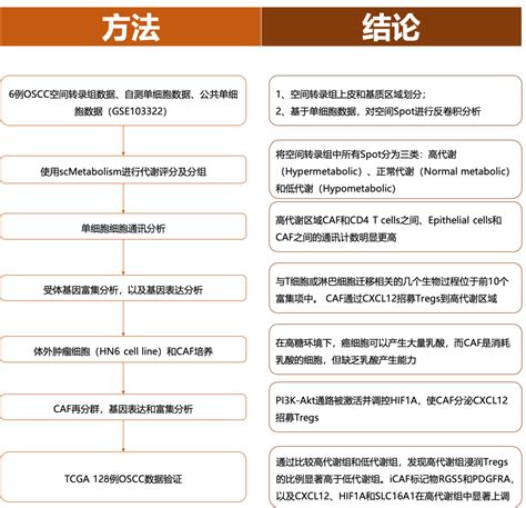 如何发高分｜代谢重编程、肿瘤微环境、icaf，这篇文章把研究热点汇集一身 知乎