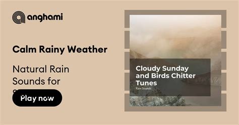 Natural Rain Sounds For Sleeping And Rain Storm Sample Library Calm