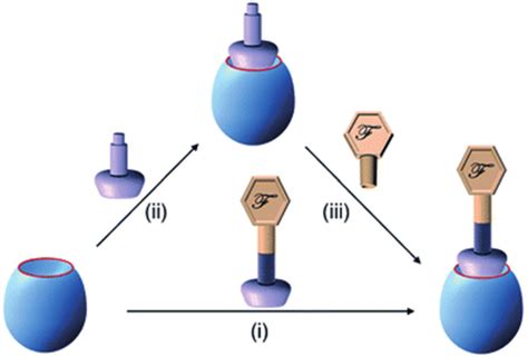 Schematic Overall View Of The Different Strategies For The Preparation