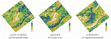 Optimal Lidar Derived Forest Canopy Structure Indices Download