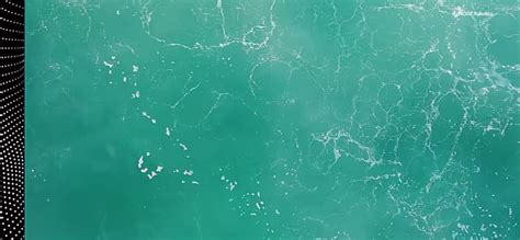 Node Robotics On Linkedin Node Robotics Wishes You A Great Summer Break ☀️🤖