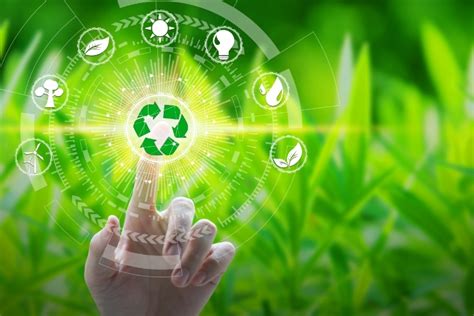 Empresas Eco Friendly Têm Ganhado Espaço No Mercado E A Atenção Do