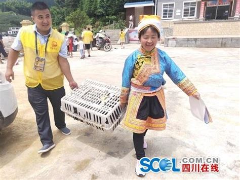 珙县洛亥镇正式启动小鸡快跑公益扶贫项目四川在线