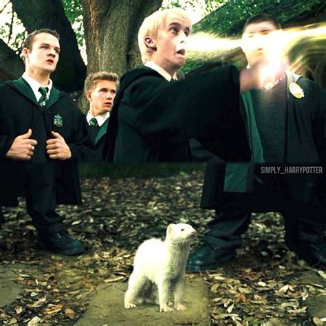 Dracomalfoy Ferret Gregorygoyle Vincentcrabbe Tomfelton