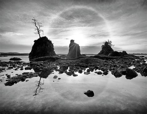 Tree Island Photograph By Thomas Haney Fine Art America